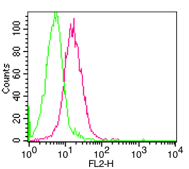 Anti-OCIL Antibody | ABM17H3| 10-10002