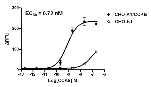 14-6060ACL, CCKB Stable Cell Line, CCKB Cell Line
