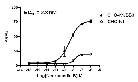 14-6064ACL, BB3 Stable Cell Line, BB3 Cell Line