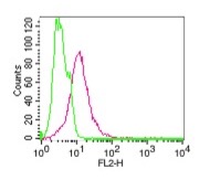 Human CD80 Recombinant Fc fusion Protein Biotin Conjugated|21-1002-B