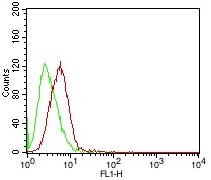 Human CD80 Recombinant Fc fusion Protein |21-1002