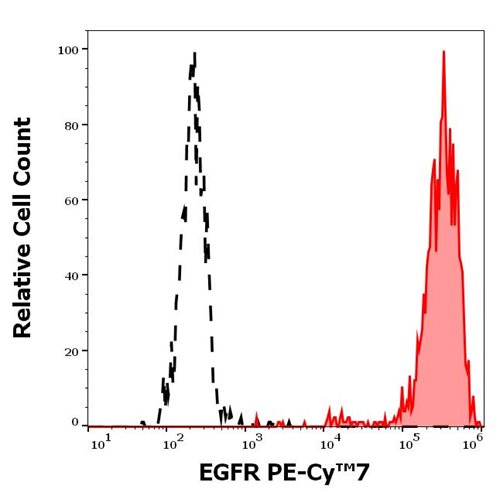 Anti-EGFR Monoclonal Antibody ||EGFR1