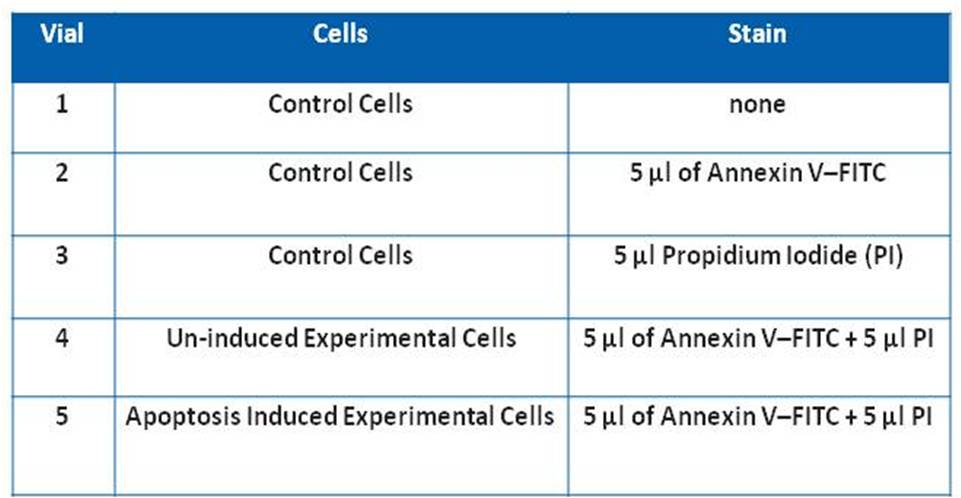 Annexin V-FITC Apoptosis Detection Kit