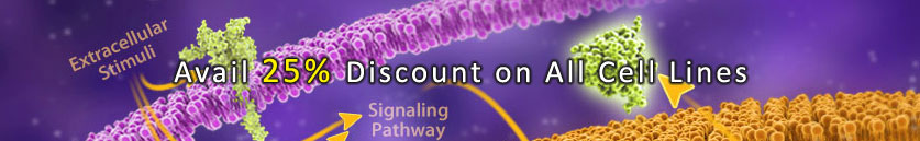 Reporter Cell lines, Stable cell lines | Compound Screening Services