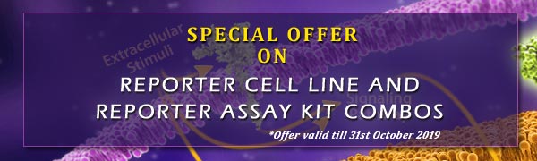 Reporter cell line and assay kit combos