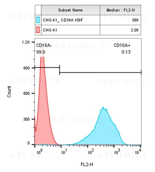 14-6050ACL, CD16A 158F Stable Cell Line, CD16A 158F Cell Line