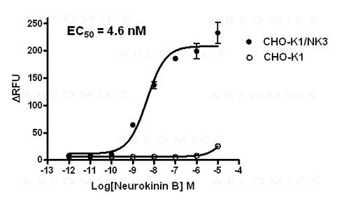 14-6074ACL, NK3 Stable Cell Line, NK3 Cell Line