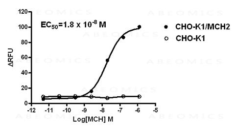 14-6113ACL, MCH2 Stable Cell Line, MCH2 Cell Line