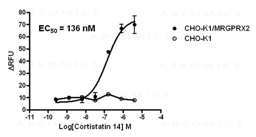 14-6158ACL, MRGPRX2 Stable Cell Line, MRGPRX2 Cell Line