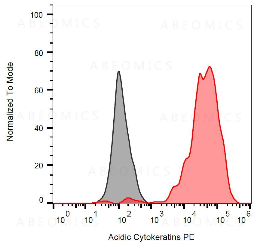 Anti-Acidic Cytokeratins Monoclonal Antibody ||AE1||PE Conjugate