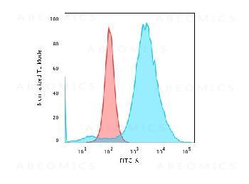 Anti-CD55 / Decay Accelerating Factor (DAF) Monoclonal Antibody