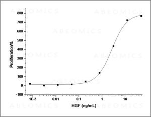 Human HGF / Hepatocyte Growth Factor Recombinant Protein