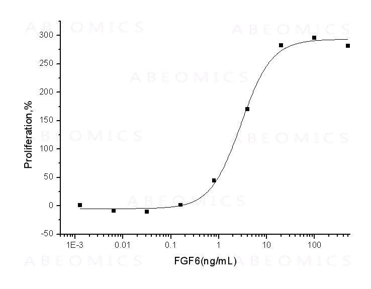 Human FGF6 / FGF-6 Recombinant Protein